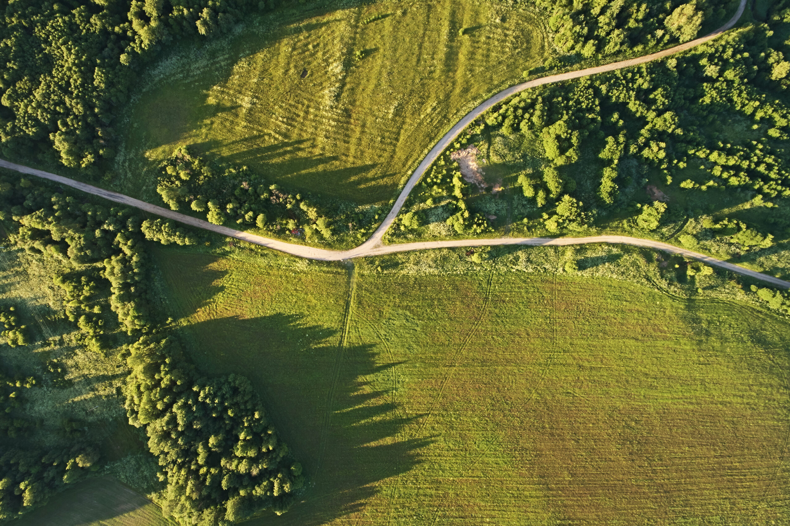 Different Paths to Growth for Two Unique PAN Leaders - PAN