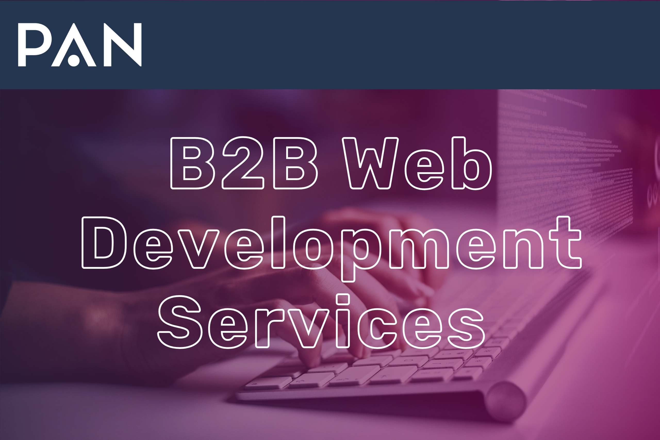 B2B Website Development Agency | PAN